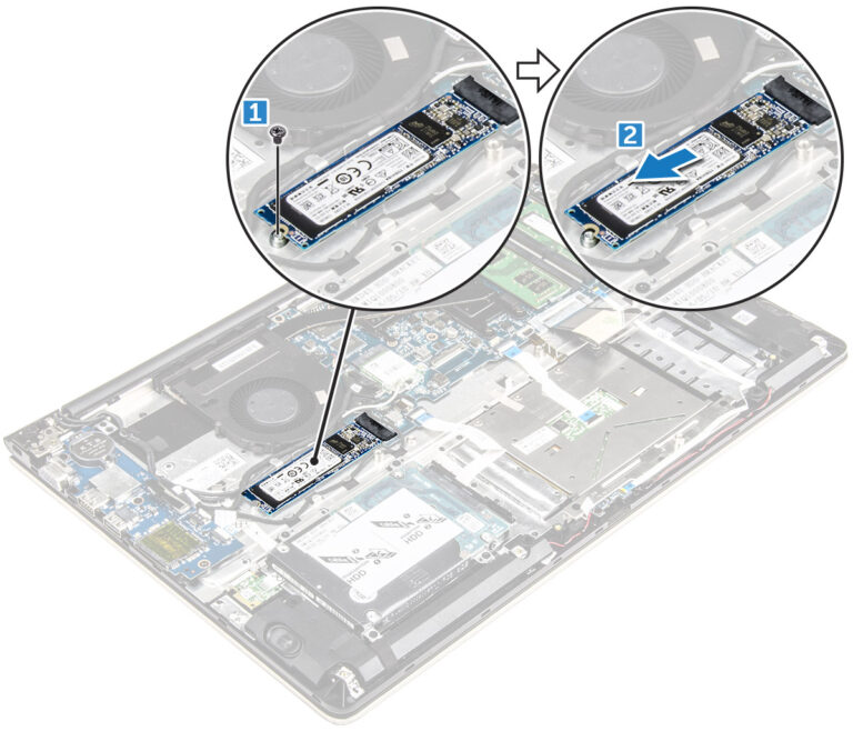 How To Check M 2 Slot In Dell Laptop 3 Ways Laptop Buff how-to-check-m-2-slot-in-dell-laptop-3-ways-laptop-buff